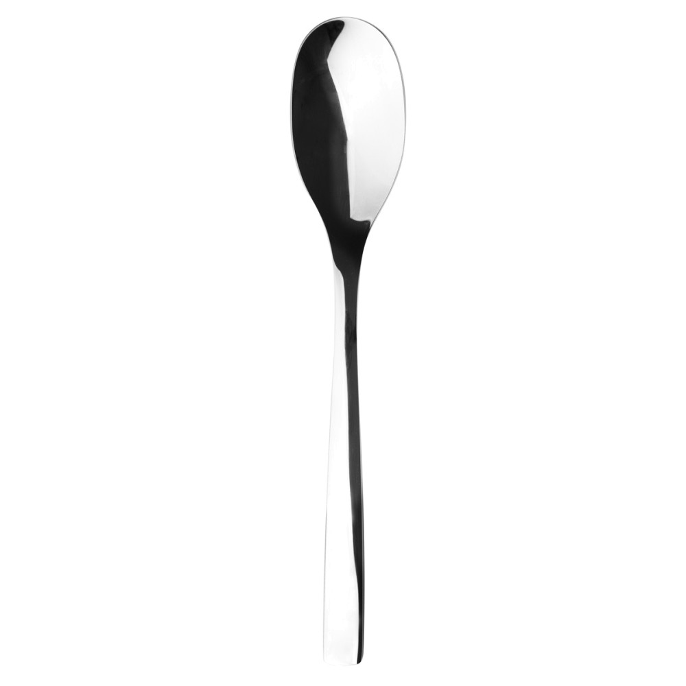 Degrenne Paris Guest Mirror Finish Table Spoon 21.6cm | Inter ...