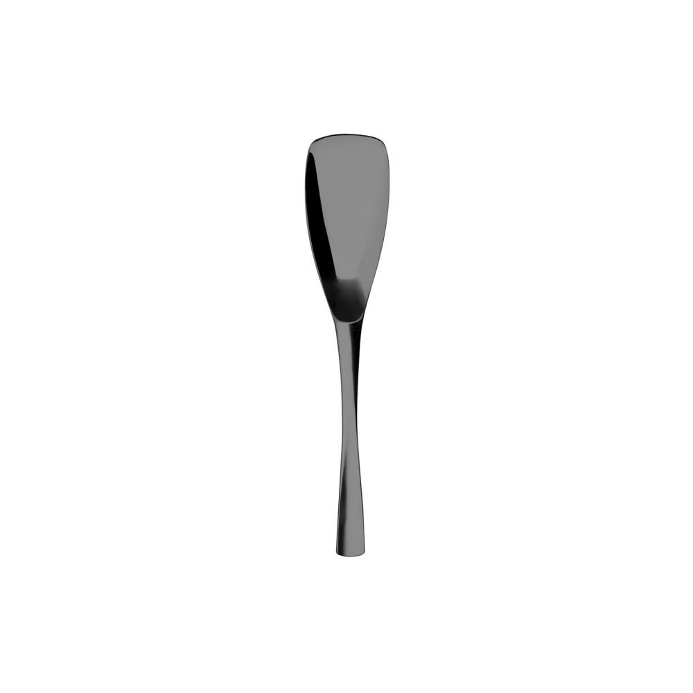 Degrenne Paris XY Black Mirror Finish Serving Spoon 26cm | Inter ...